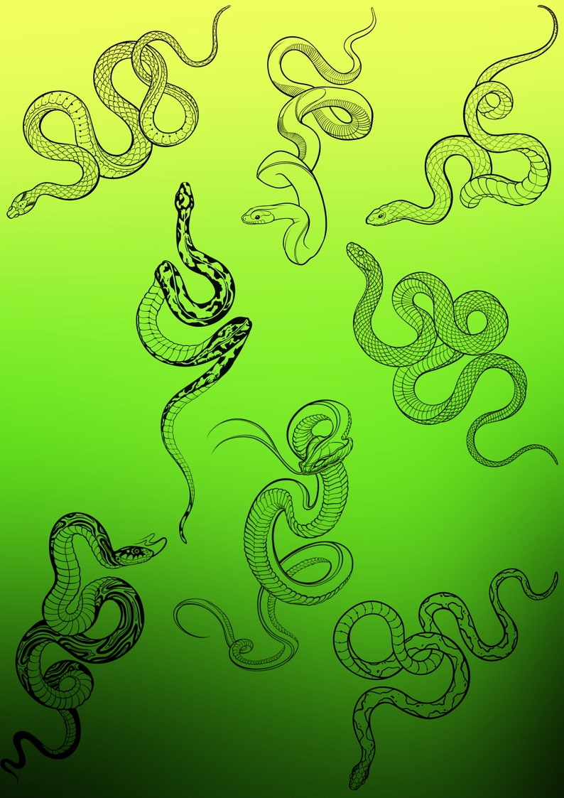 Snake Procreate Stamp Set, Tattoo Design, Snake Serpent Reptile Brush ...