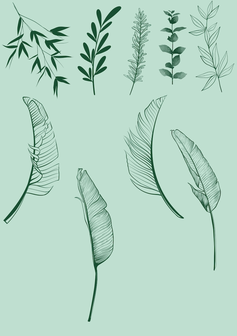 Botanical Procreate Brush, Plant Brushes, Tree Texture Brushes, Tattoo ...