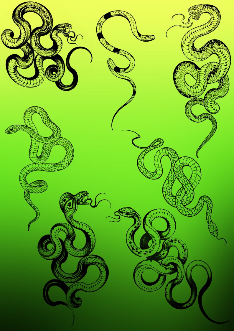Snake Procreate Stamp Set, Tattoo Design, Snake Serpent Reptile Brush ...