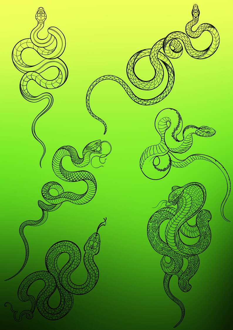 Snake Procreate Stamp Set, Tattoo Design, Snake Serpent Reptile Brush ...