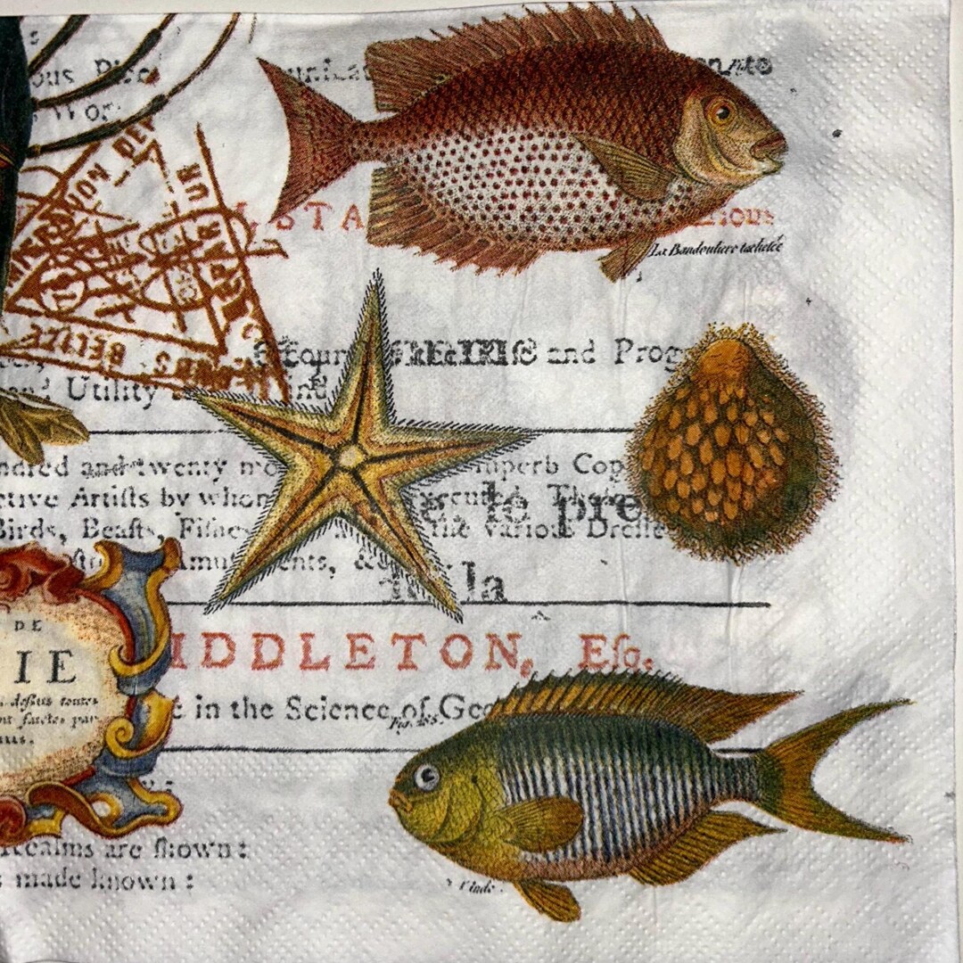 Botanical Tropical Fish Paper Napkin - Etsy