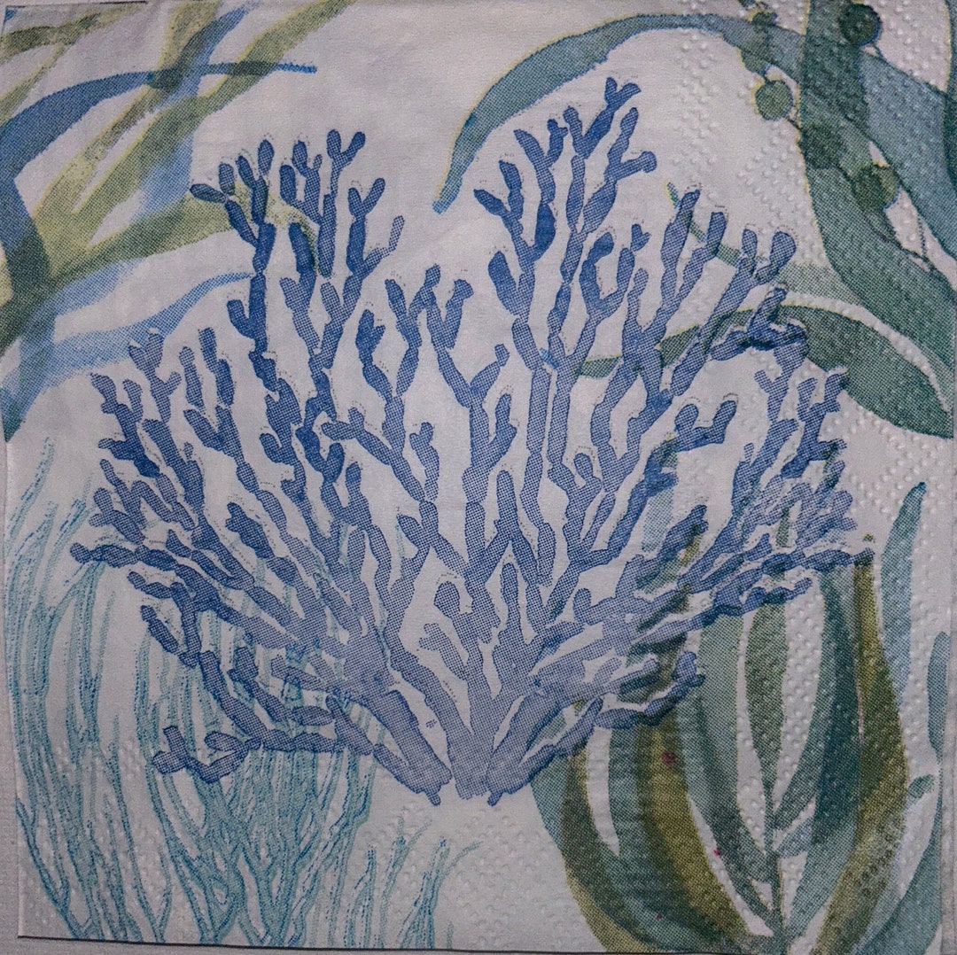 Seaweed Paper Napkin - Etsy