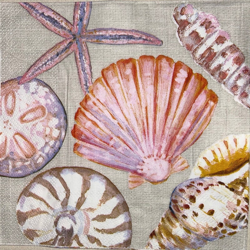 Decoupage Conch Shells - Etsy