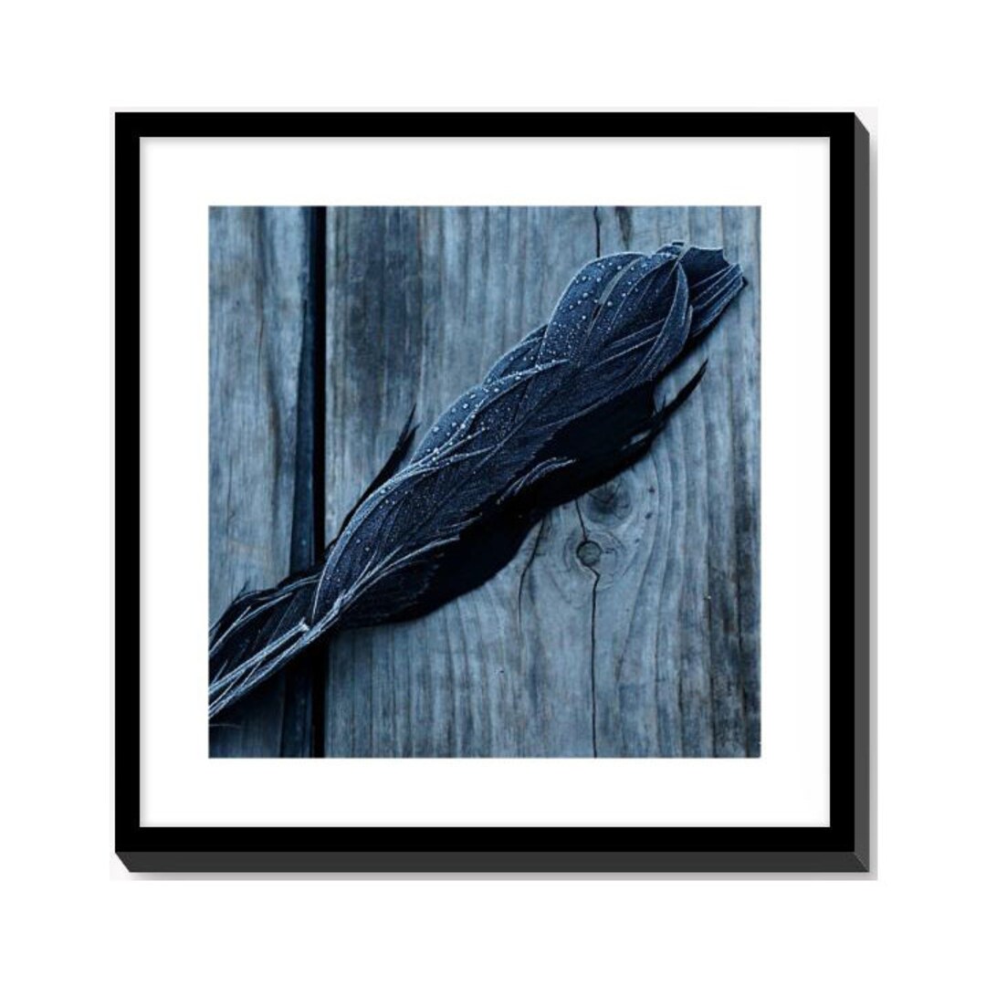 Frozen Crow Feather - Etsy
