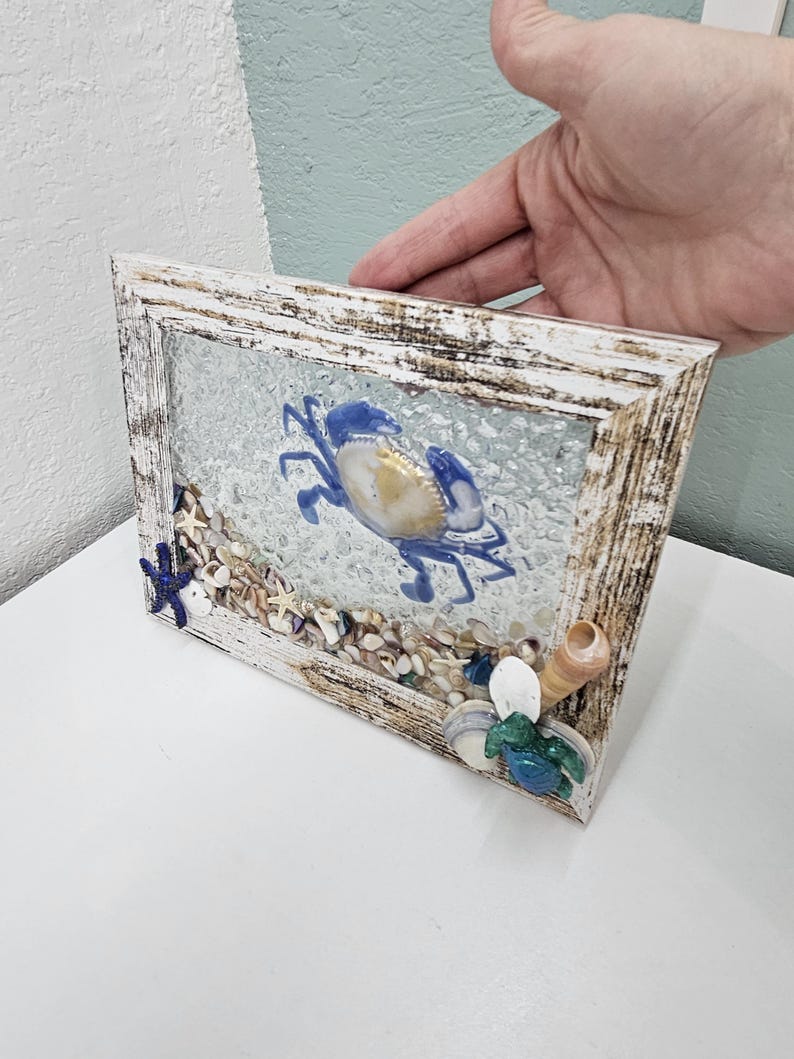 3D Crab Shell Coastal Wall Art: Resin & Seashell Frame - Etsy