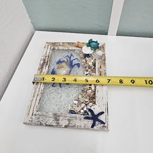 3D Crab Shell Coastal Wall Art: Resin & Seashell Frame - Etsy