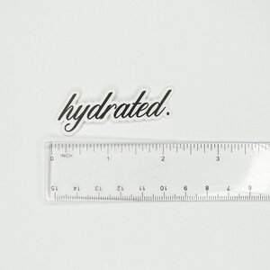 Hydrated Sticker - Matte Vinyl Die Cut (2.6x2.2 Inches) - Etsy