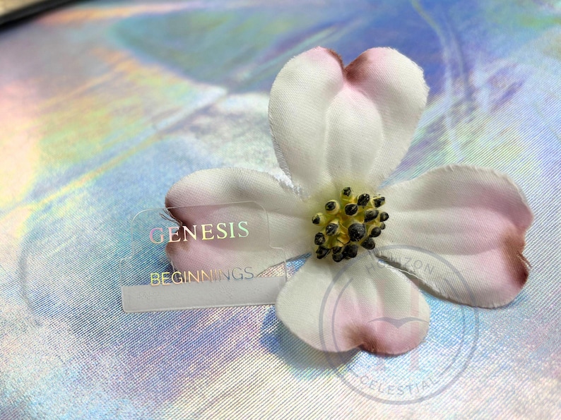 Holographic Transparent Clear Bible Tabs, Holo Foil, Books of the Bible ...