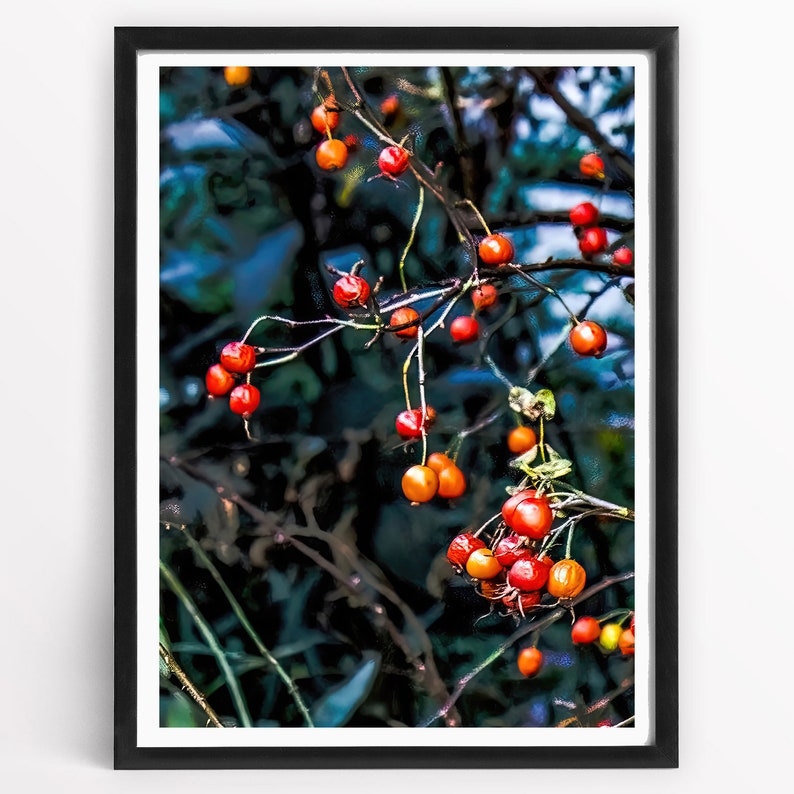 Red Berries Poster Gift Wall Art Digital Download Artistic Photography ...