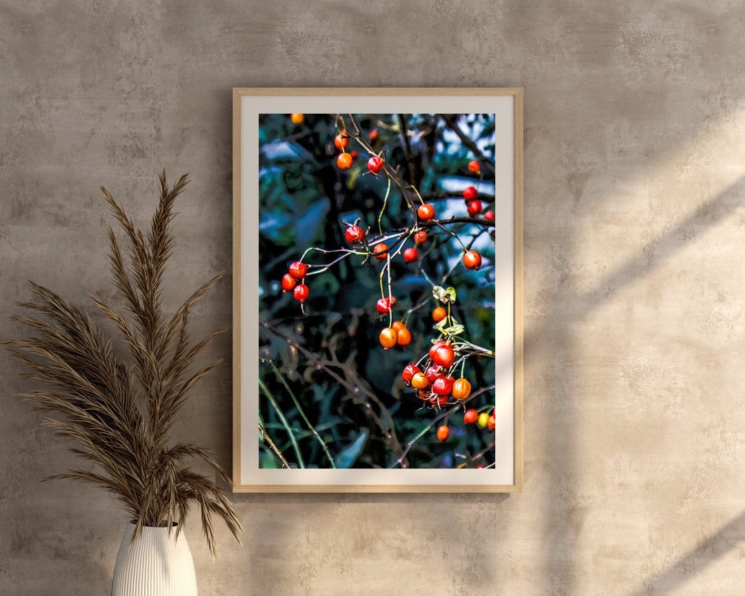 Red Berries Poster Gift Wall Art Digital Download Artistic Photography ...