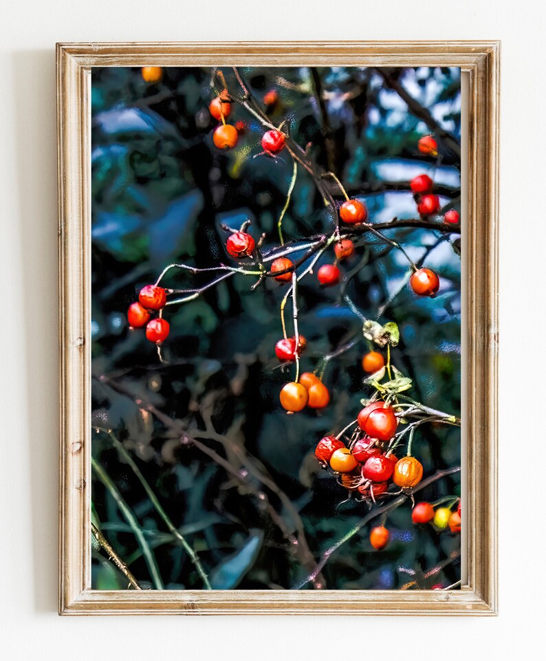 Red Berries Poster Gift Wall Art Digital Download Artistic Photography ...