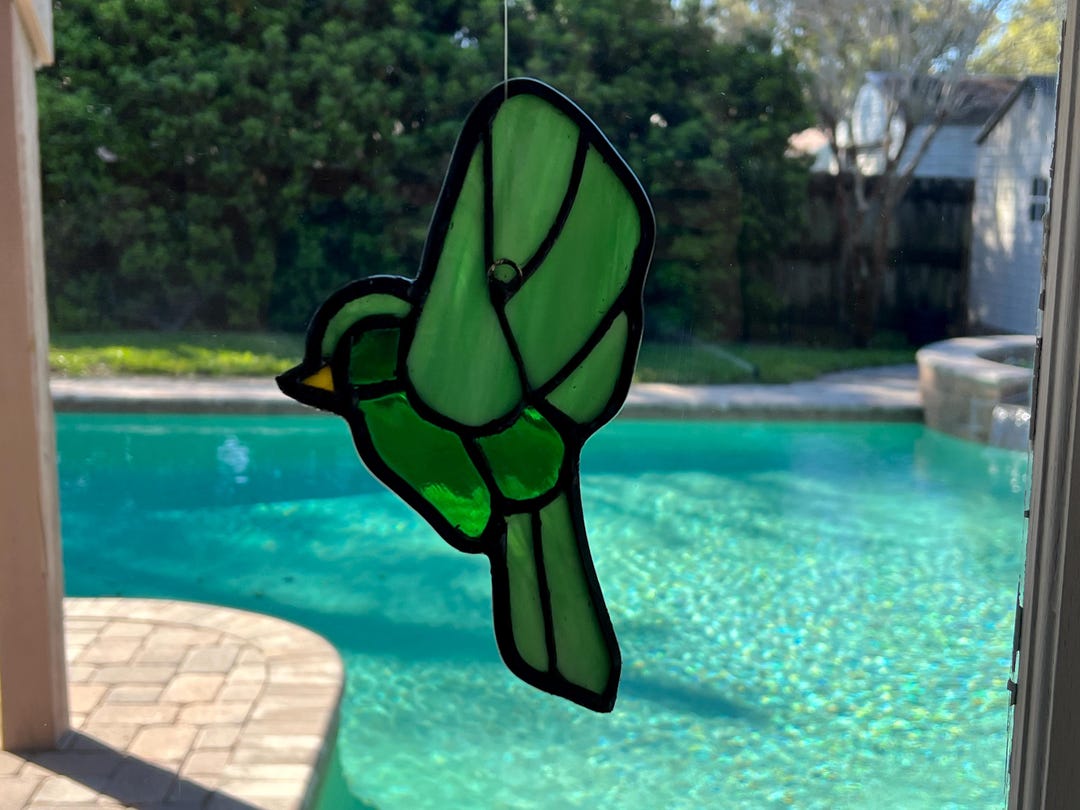 Bird | Beautiful Green Bird | Flying Bird | Gift for Bird Lover ...