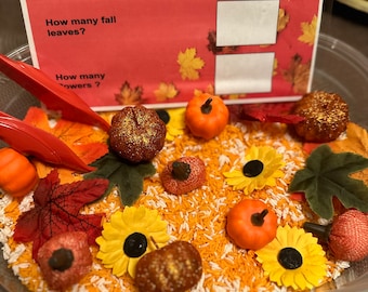 Fall Themed Sensory Bin - Etsy