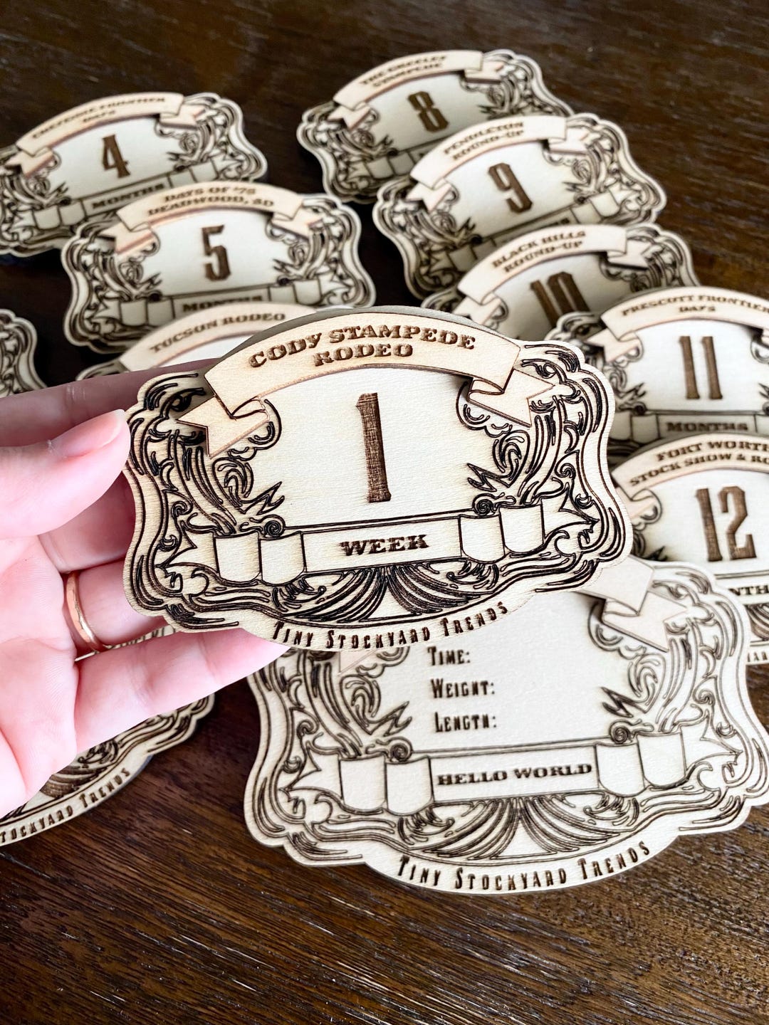 Milestone Cowboy Belt Buckle Set Newborn Photo Prop Monthly Disc Set ...