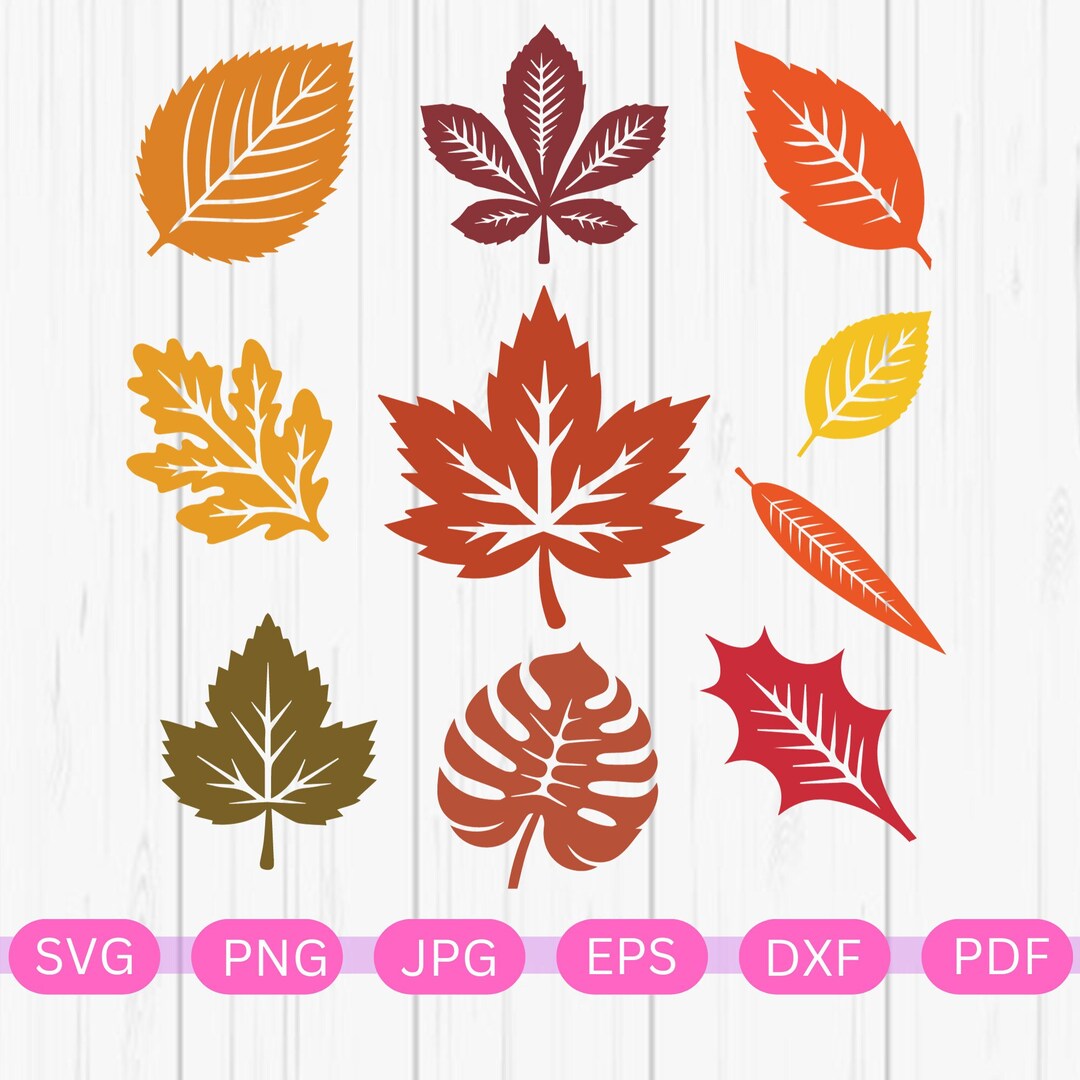Fall Leaves Svg , Leaves Vector, Leaves Clipart, Leaf Cricut, Leaves ...