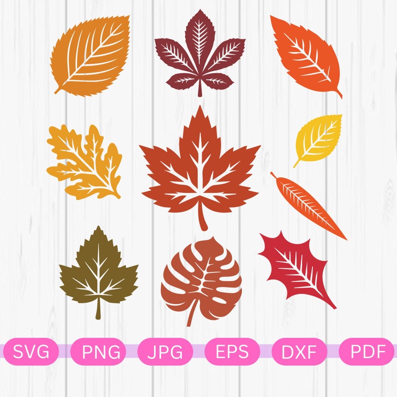 Fall Leaves Svg , Leaves Vector, Leaves Clipart, Leaf Cricut, Leaves ...