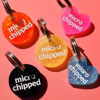Bright Acrylic Pet ID Tags, Custom Pet Tag, Pet Tag, Personalized ...