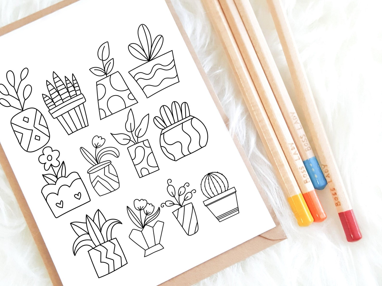 Plant Coloring Pages, Plant PNG, House Plant Coloring Pages, Plant ...