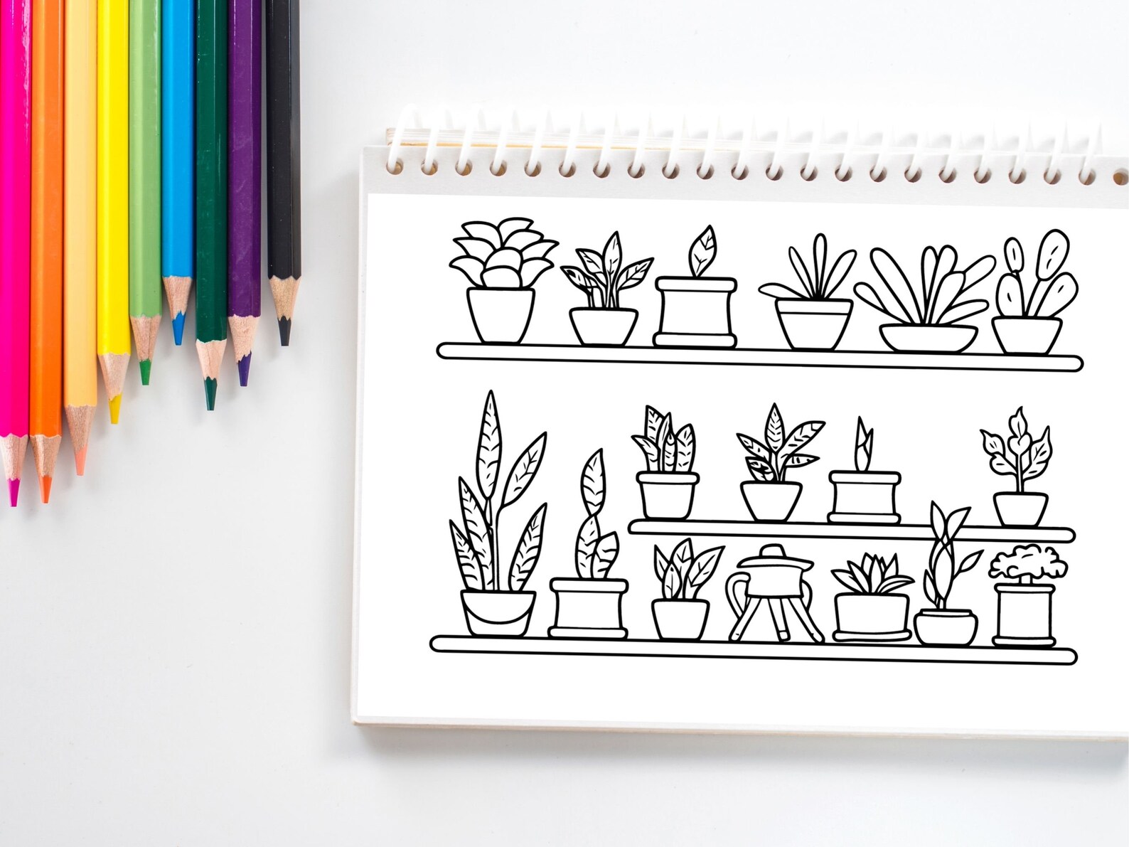 Plant Coloring Pages, Plant PNG, House Plant Coloring Pages, Plant ...