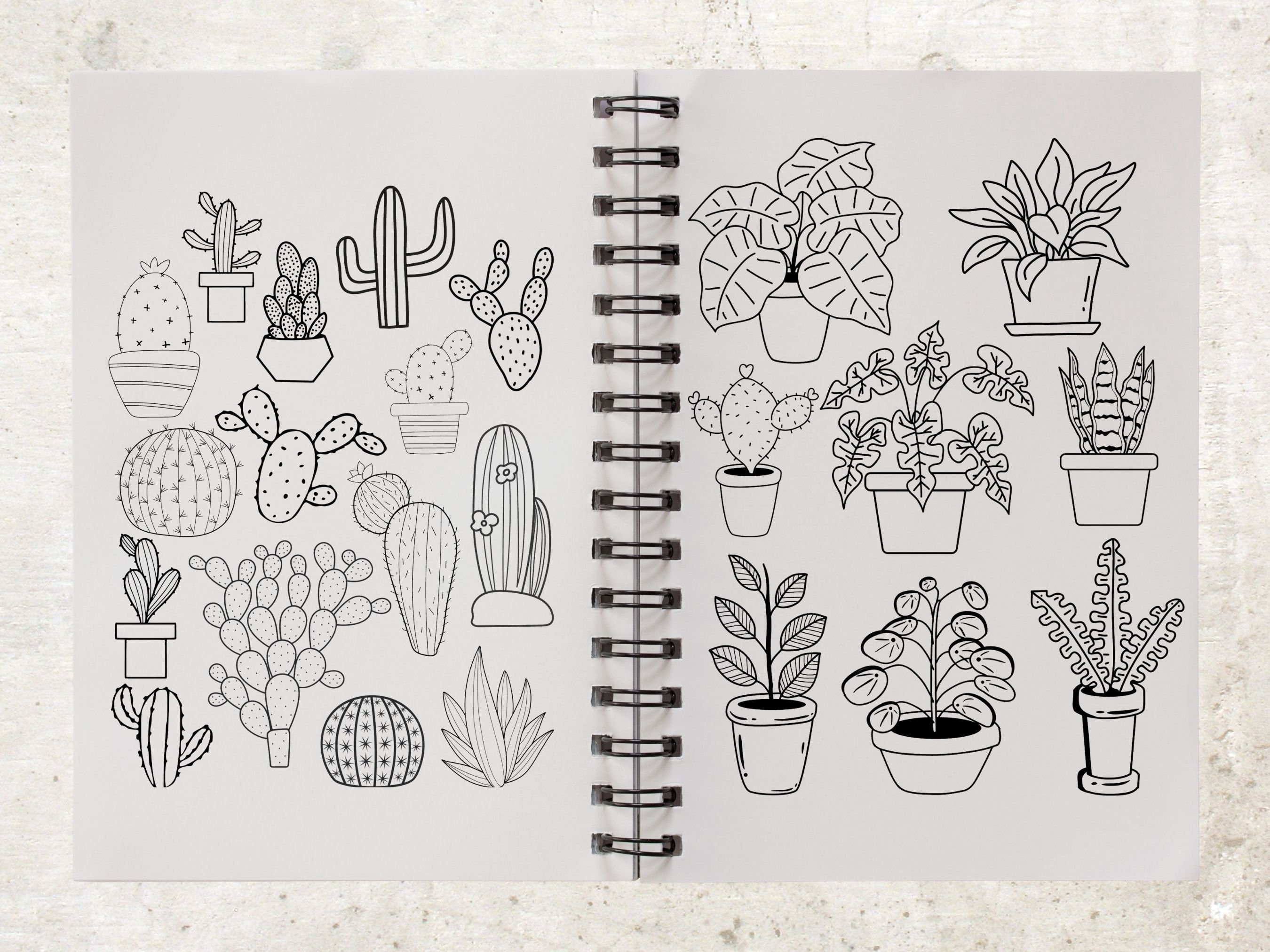 Plant Coloring Pages, Plant PNG, House Plant Coloring Pages, Plant ...