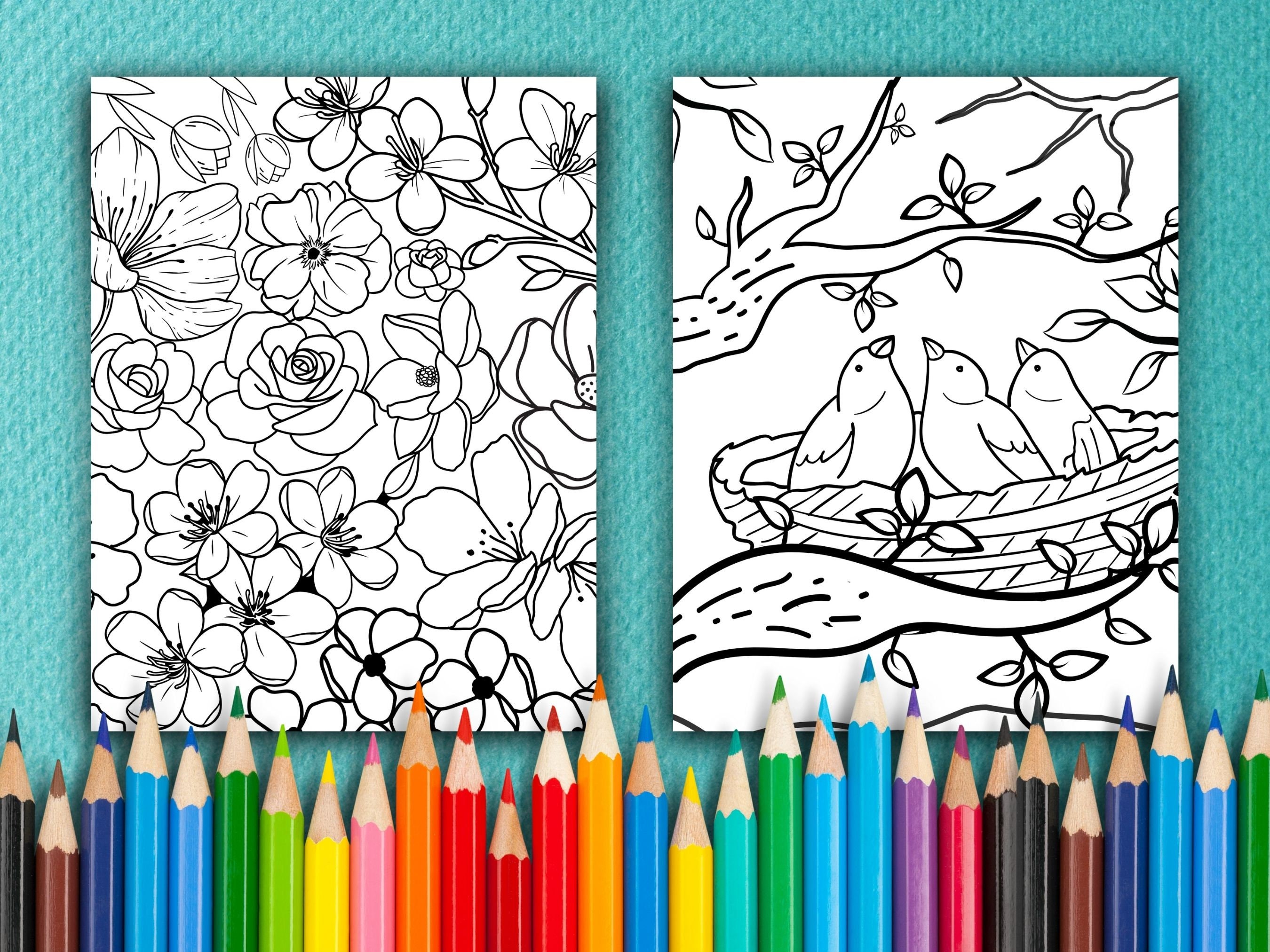 Spring Coloring Pages, Spring Coloring Pages for Kids, Adult Printable ...