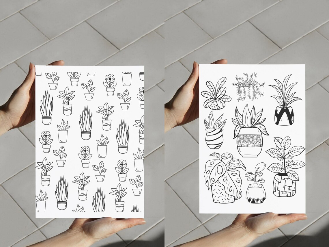 Plant Coloring Pages, Plant PNG, House Plant Coloring Pages, Plant ...