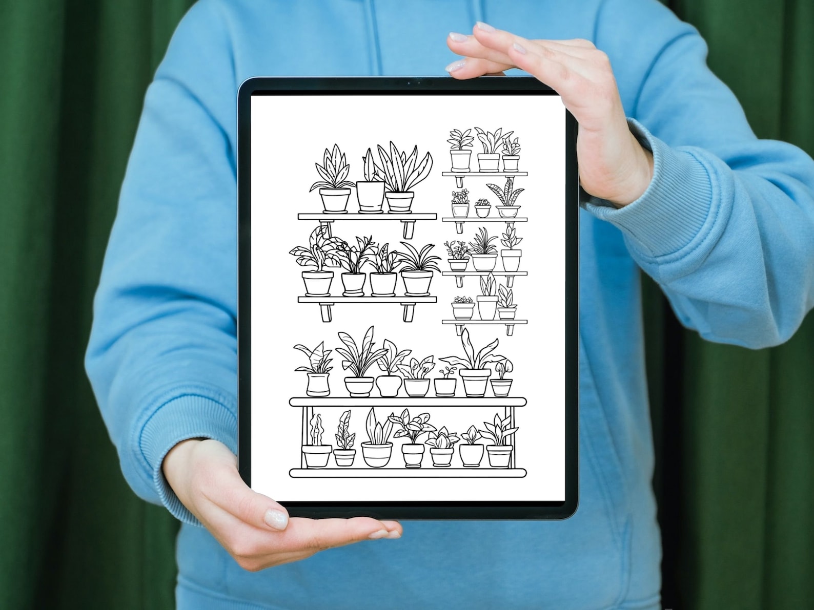 Plant Coloring Pages, Plant PNG, House Plant Coloring Pages, Plant ...