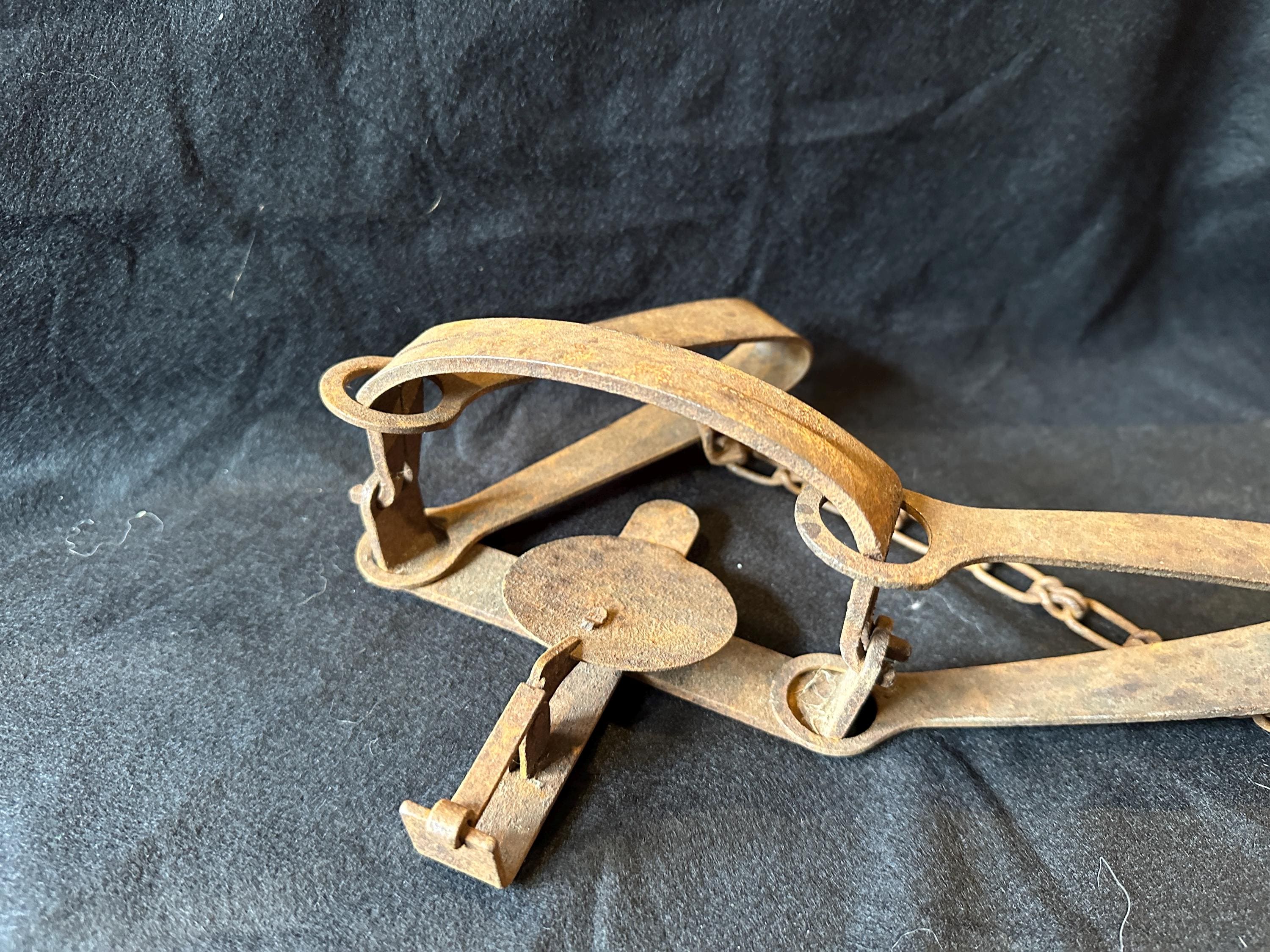 Vintage Double Long Spring Trap - Etsy