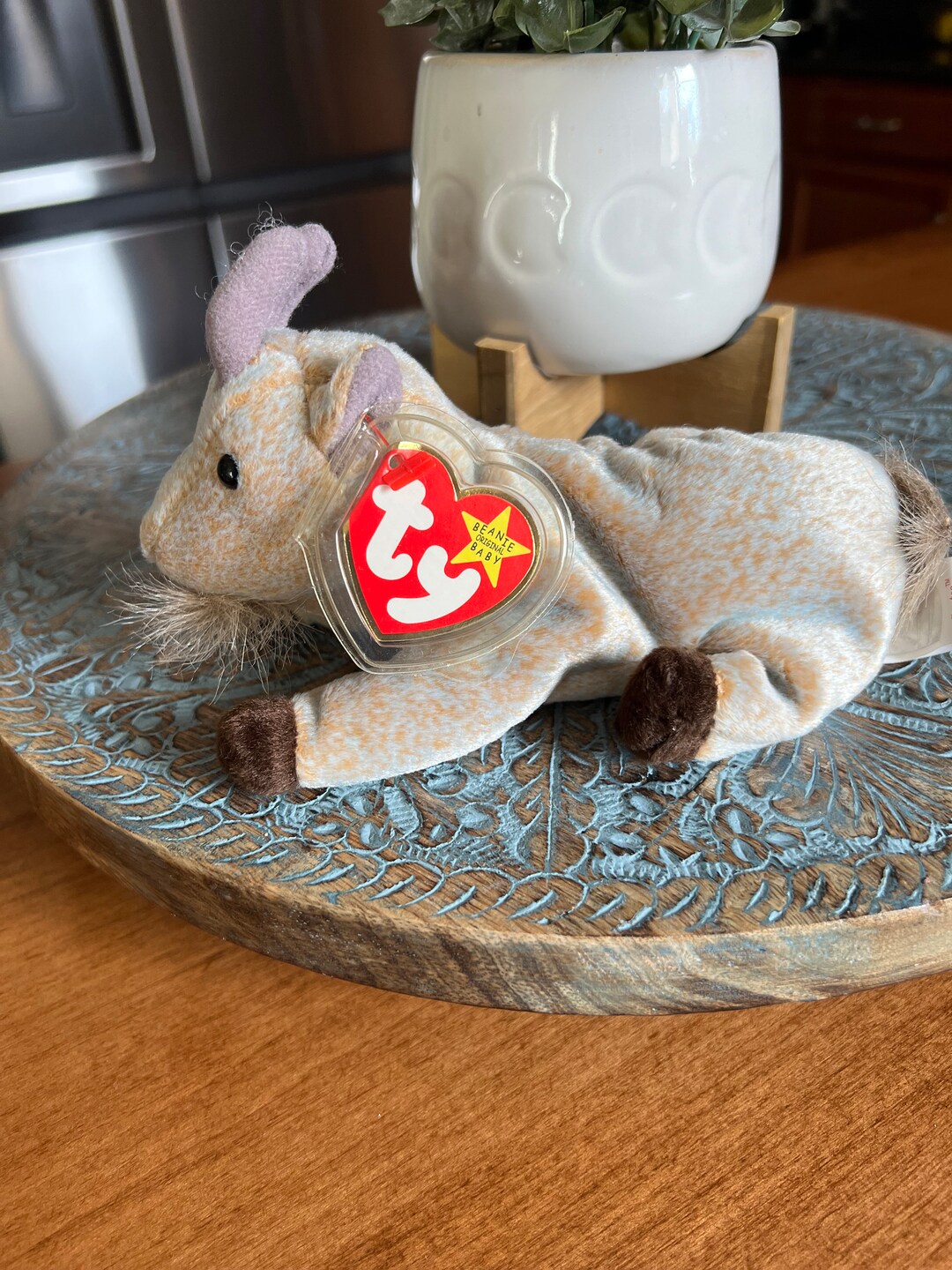 Rare With Error Collectible 1998 Ty Beanie Baby Goatee the Baby Goat - Etsy