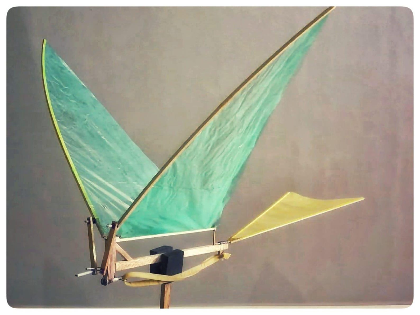Rubber Powered Ornithopter, Flying Ornithopter, Ornithopter Desing Diy ...