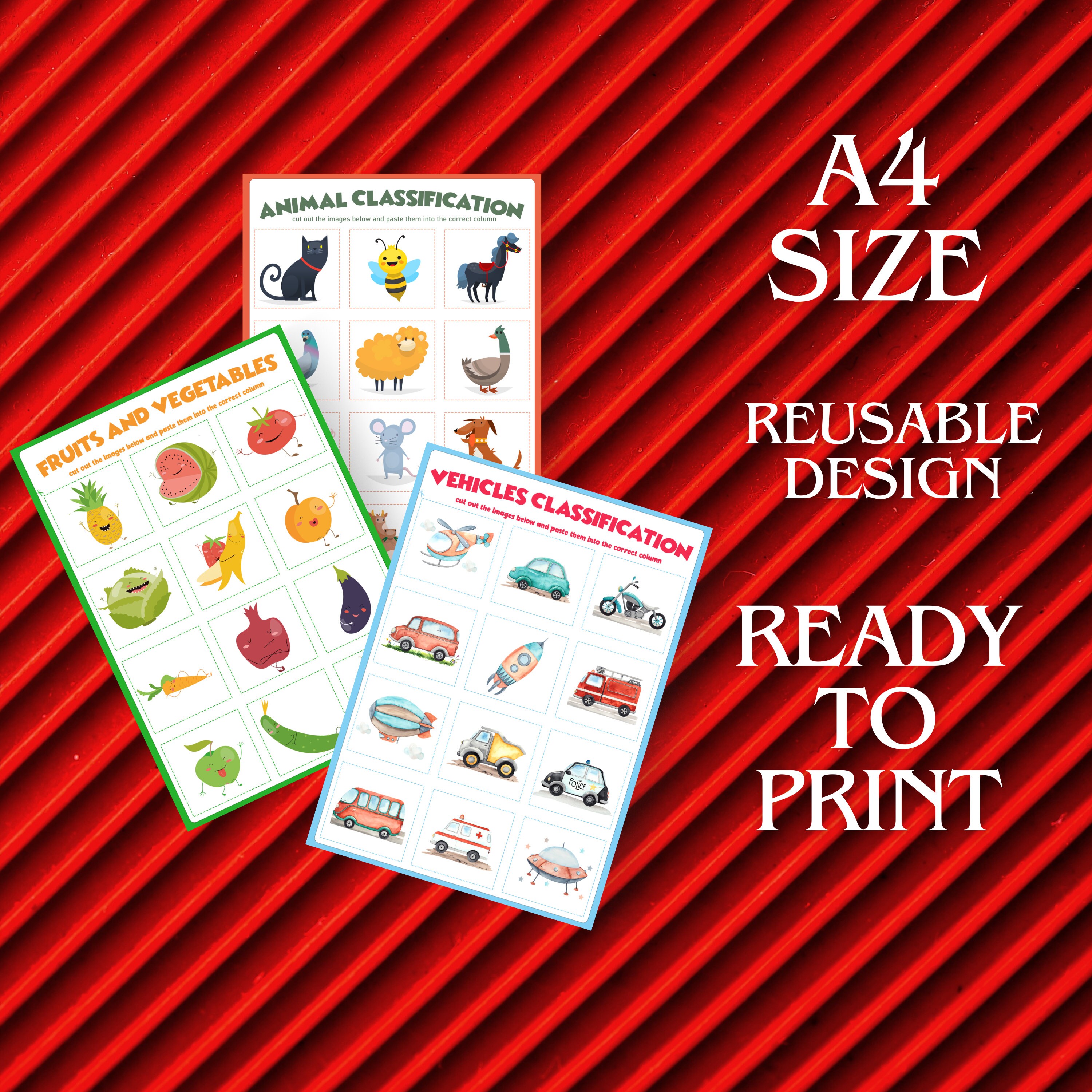 Classification Activities Special Education, Preschool, Homeschool Busy ...
