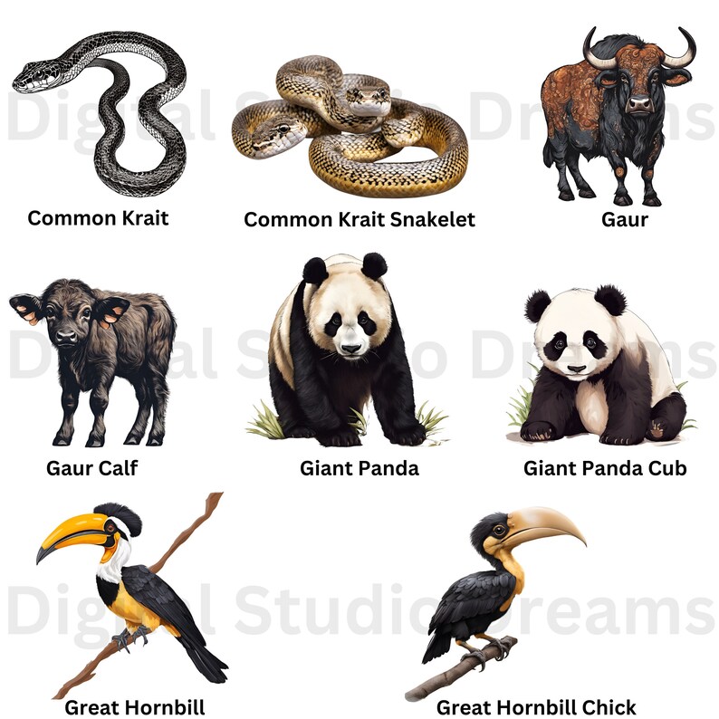 Animals of Asia 78 Transparent PNG Files -clipart, Junk Journal Kits ...
