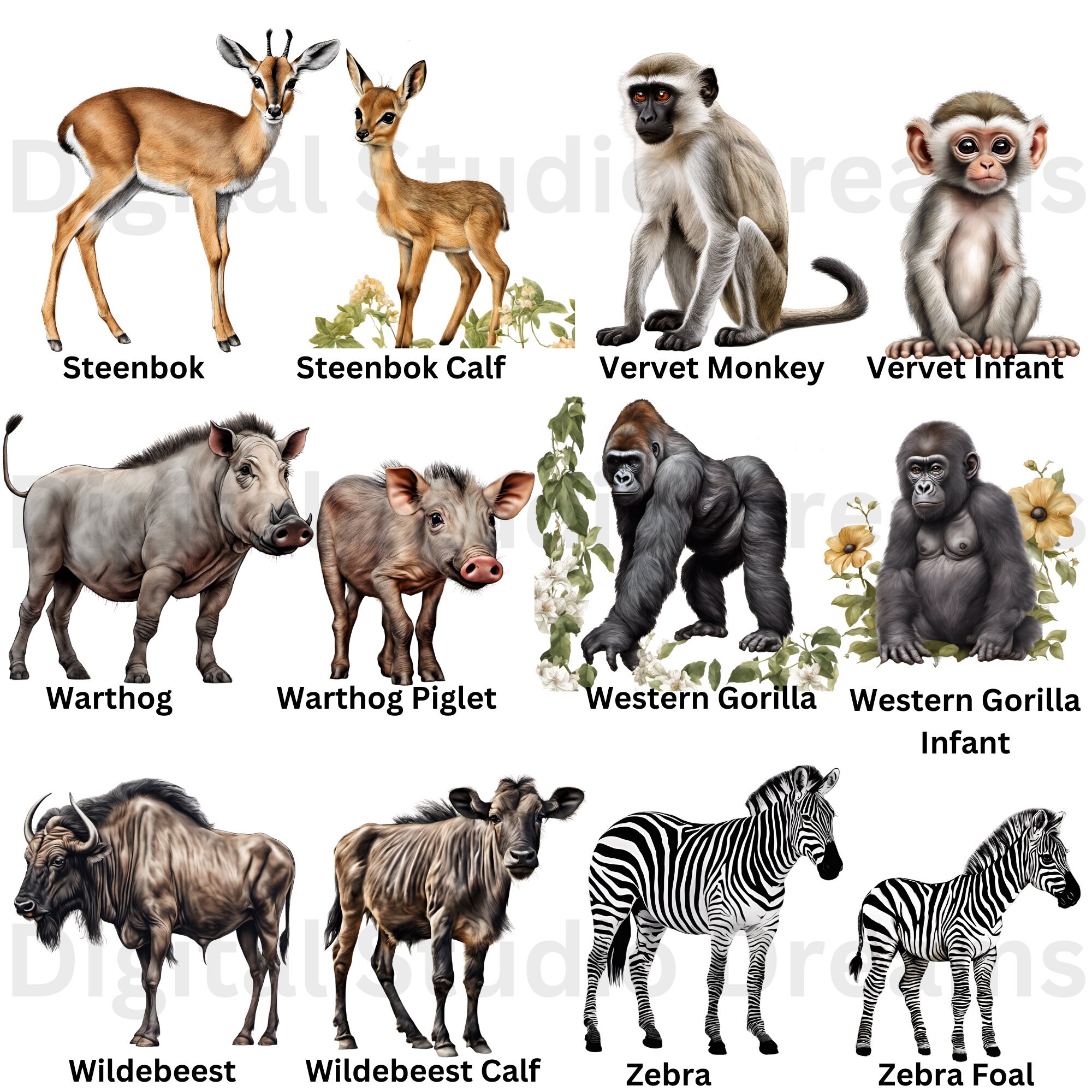 Animals of Africa 83 Transparent PNG Files clipart, Junk Journal Kits ...