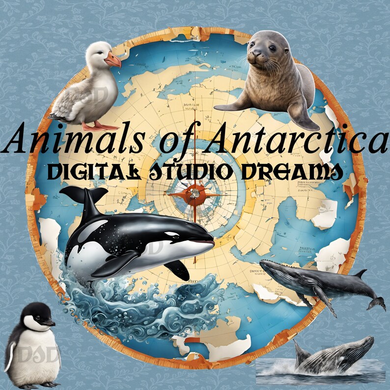 Animals of Antarctica 68 Transparent PNG Files -clipart, Junk Journal ...