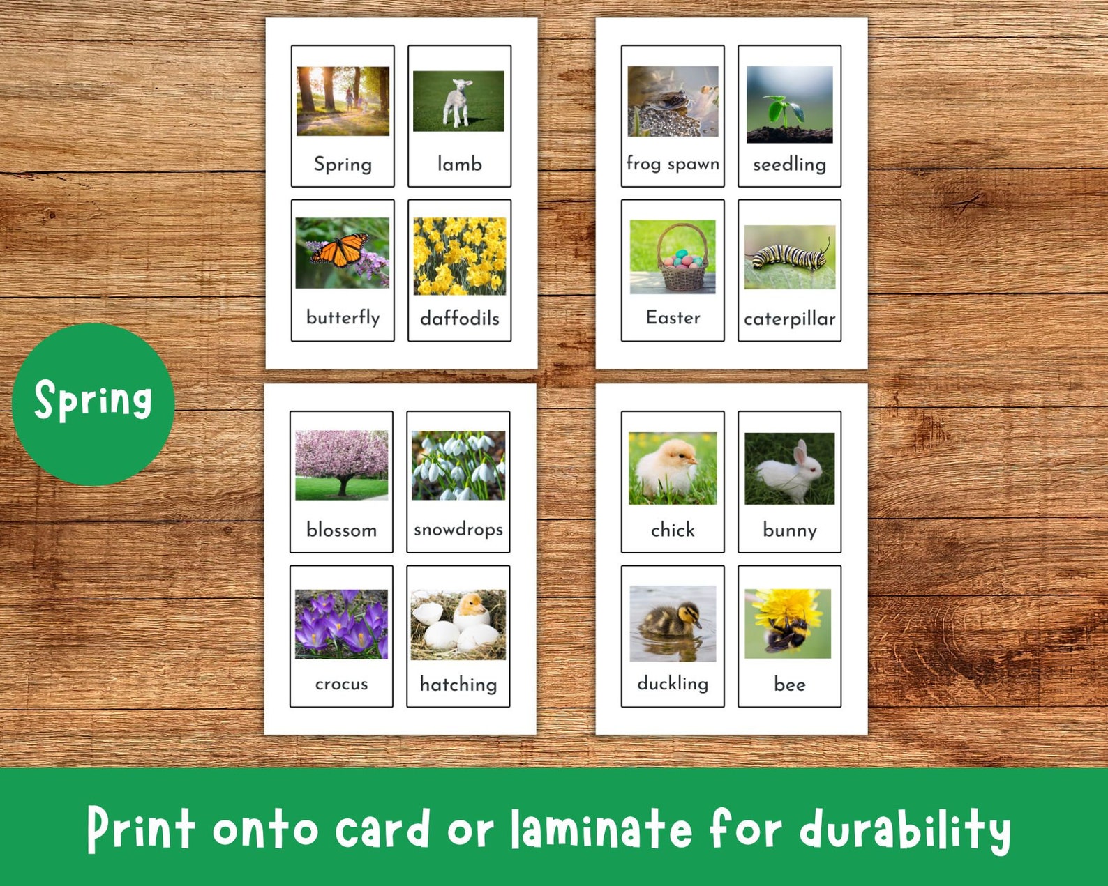 Seasons Flash Cards, Weather Flashcards, Months of the Year ...