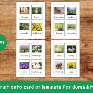 Seasons Flash Cards, Weather Flashcards, Months of the Year ...