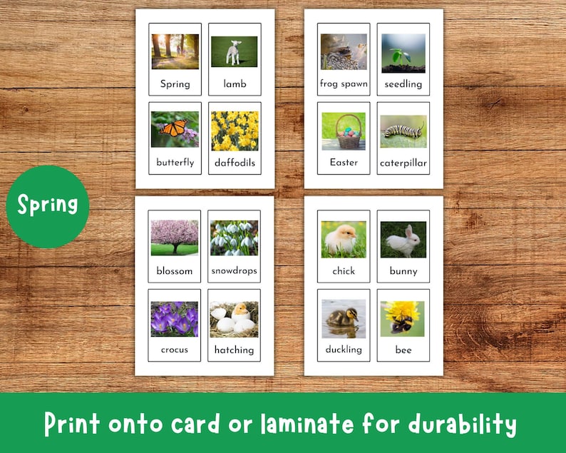 Seasons Flash Cards, Weather Flashcards, Months of the Year ...