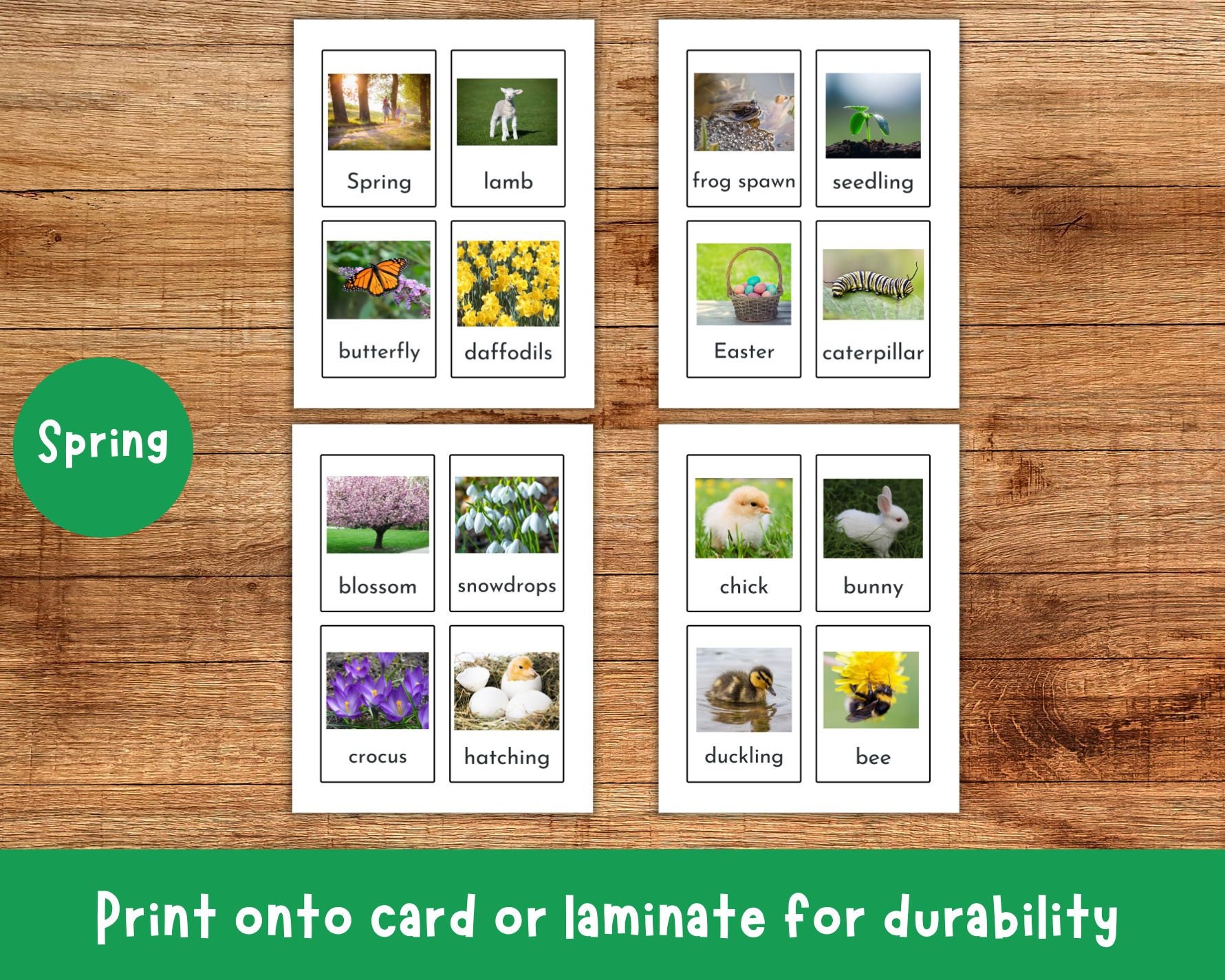 Seasons Flash Cards, Weather Flashcards, Months of the Year ...