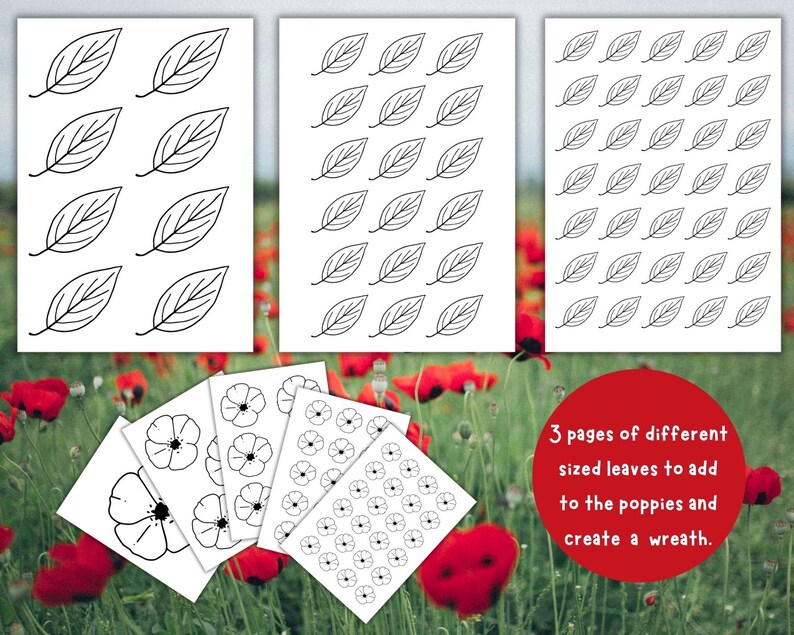 Remembrance Day Craft and Colouring Activity Pages, Kids Printable ...