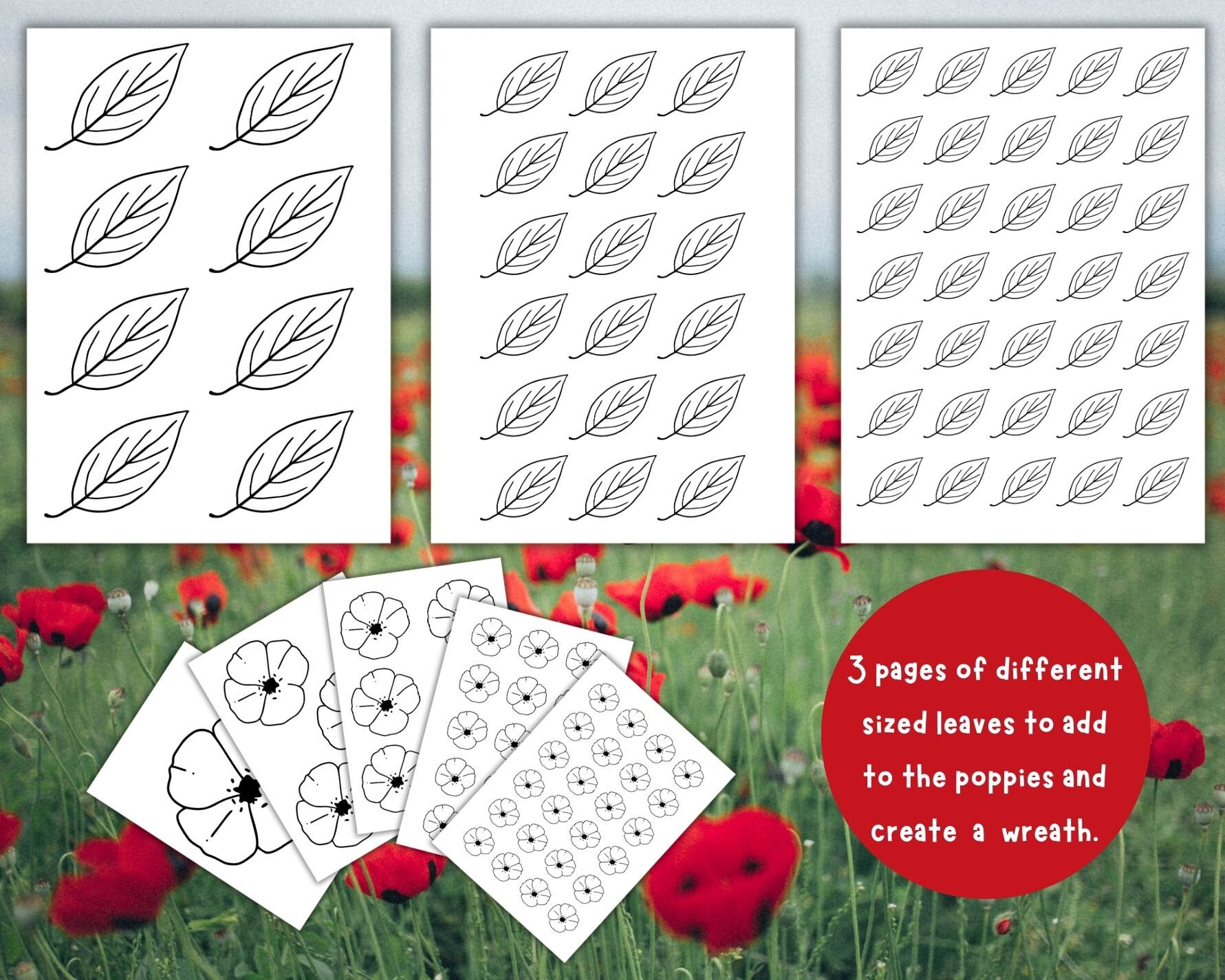 Remembrance Day Craft and Colouring Activity Pages, Kids Printable ...