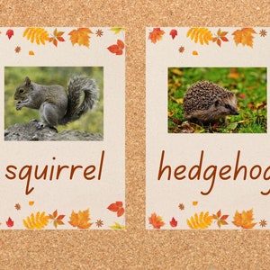 Autumn Fall Classroom Display Posters Keywords Pumpkin Bulletin Board ...
