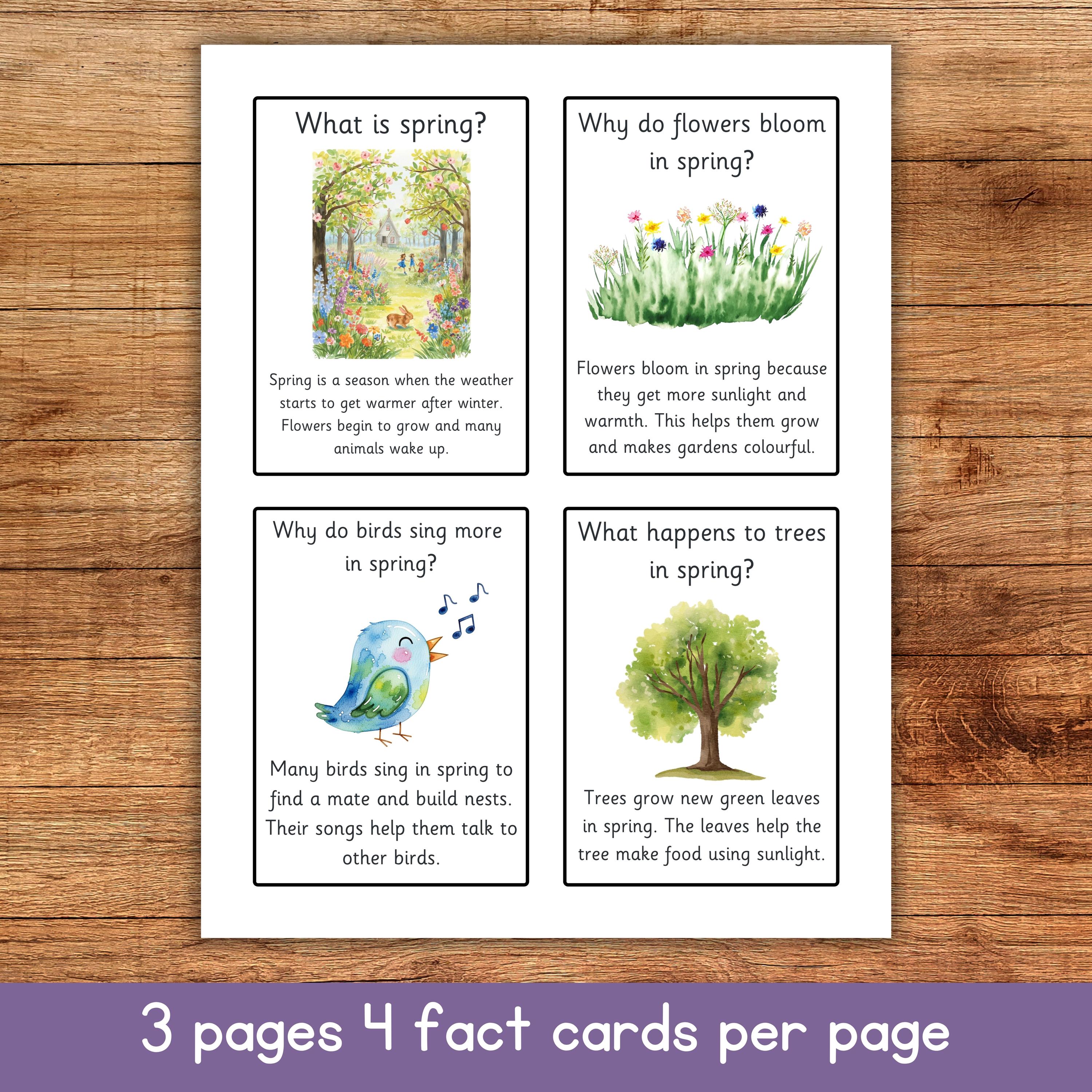 Spring Fact Cards for Kids | Preschool Spring Printable | Spring ...