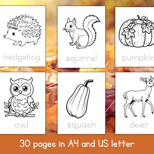 Fall Autumn Coloring Pages, Fall Activity for Kids, Fall Tracing, Prek ...