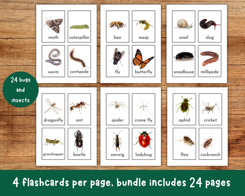 Animal Flash Cards, Pet Farm Animal Flashcards, Zoo Jungle Animals, Sea ...