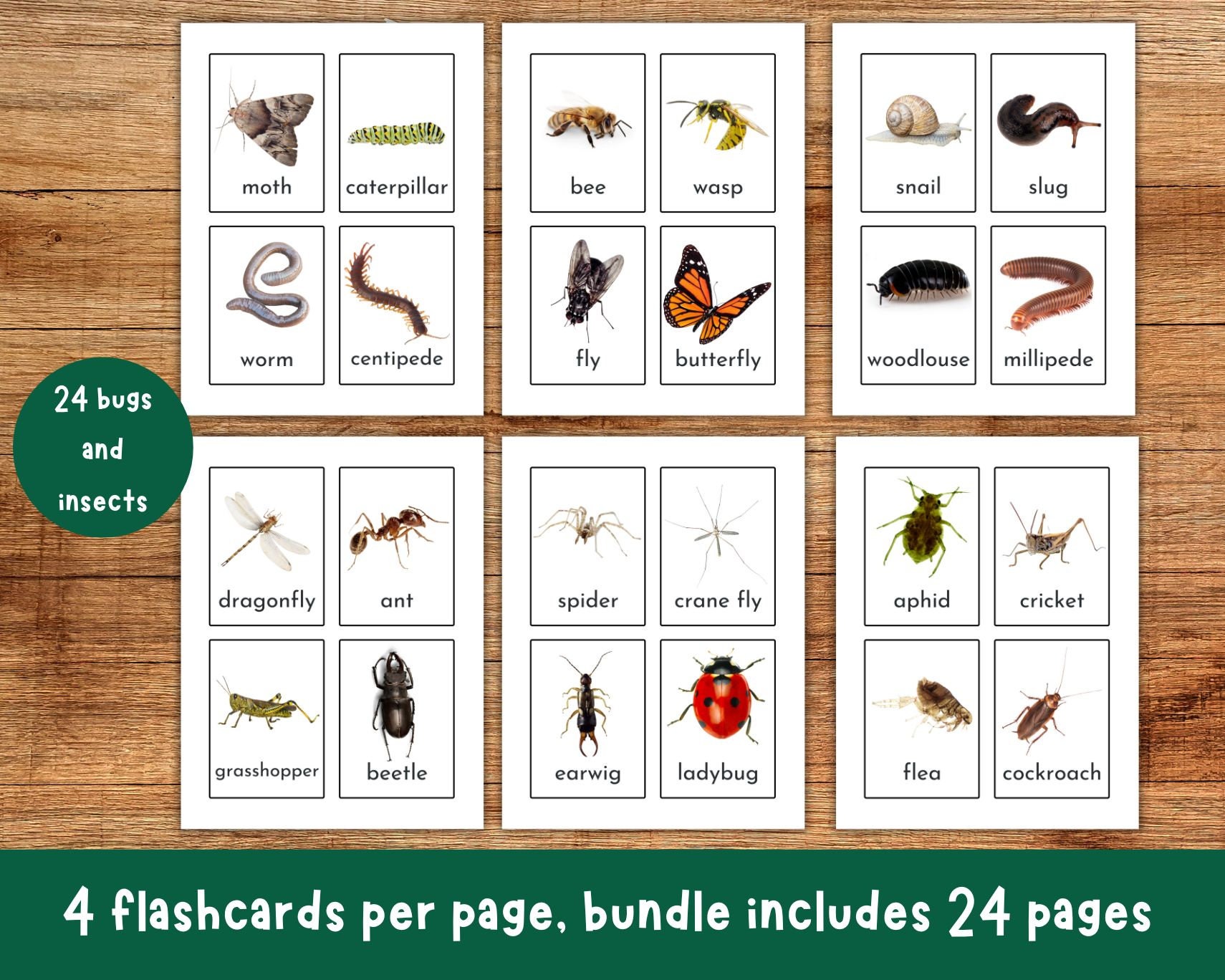 Animal Flash Cards, Pet Farm Animal Flashcards, Zoo Jungle Animals, Sea ...