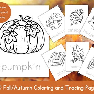 Fall Autumn Coloring Pages, Fall Activity for Kids, Fall Tracing, Prek ...