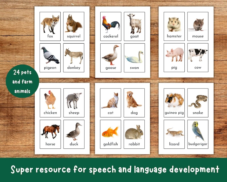 Animal Flash Cards, Pet Farm Animal Flashcards, Zoo Jungle Animals, Sea ...