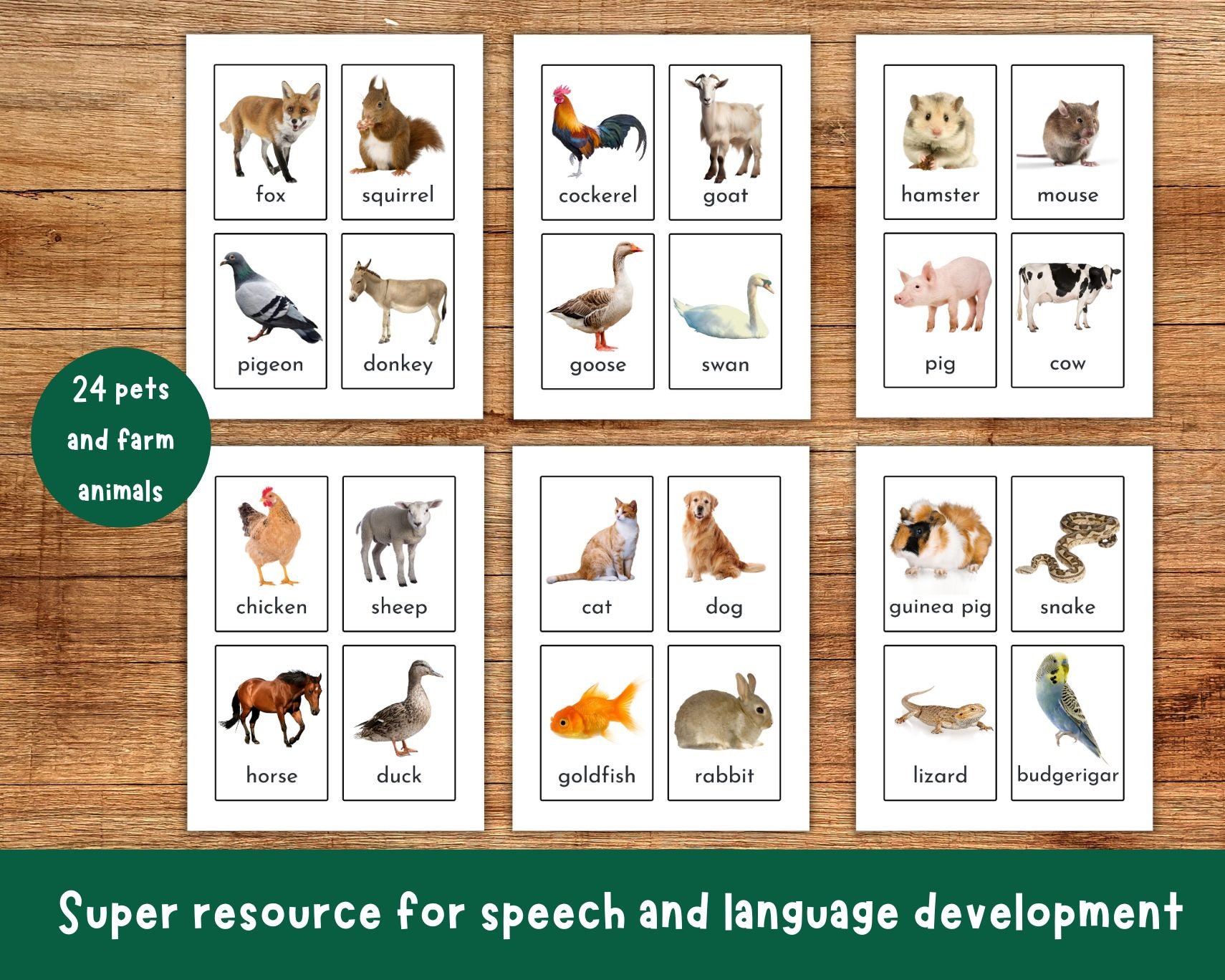 Animal Flash Cards, Pet Farm Animal Flashcards, Zoo Jungle Animals, Sea ...