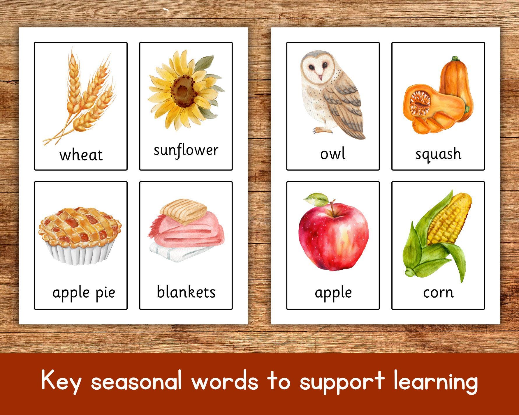 Fall Flash Cards, Autumn, Fall Flashcards, Fall Educational Printable ...