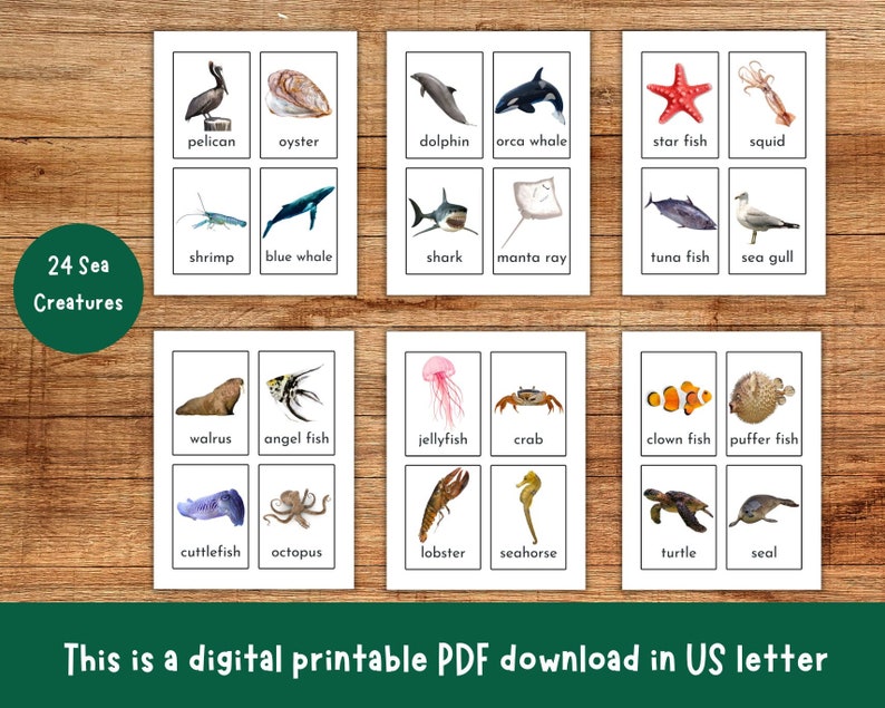 Animal Flash Cards, Pet Farm Animal Flashcards, Zoo Jungle Animals, Sea ...